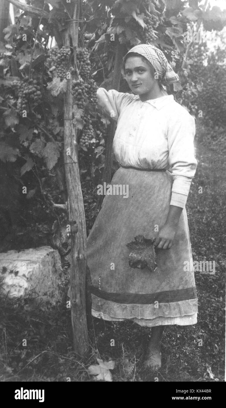 European standards Black and White Stock Photos & Images - Alamy