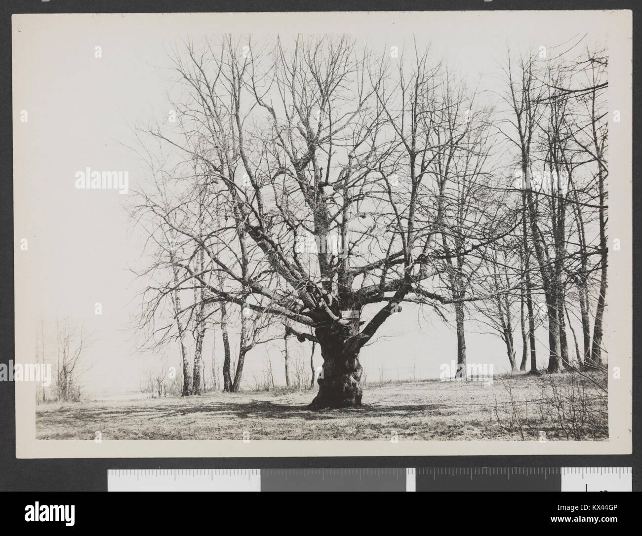 M 90 133 1 hi-res stock photography and images - Alamy