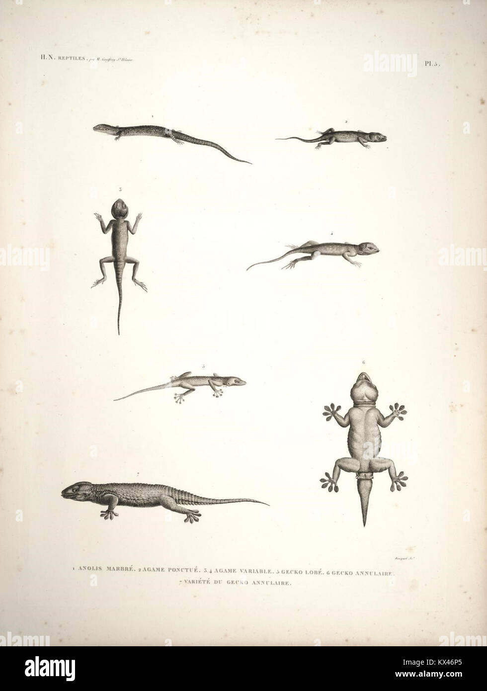 A plate from 'Description de l'Égypte' showing the ancient Egyptian ...