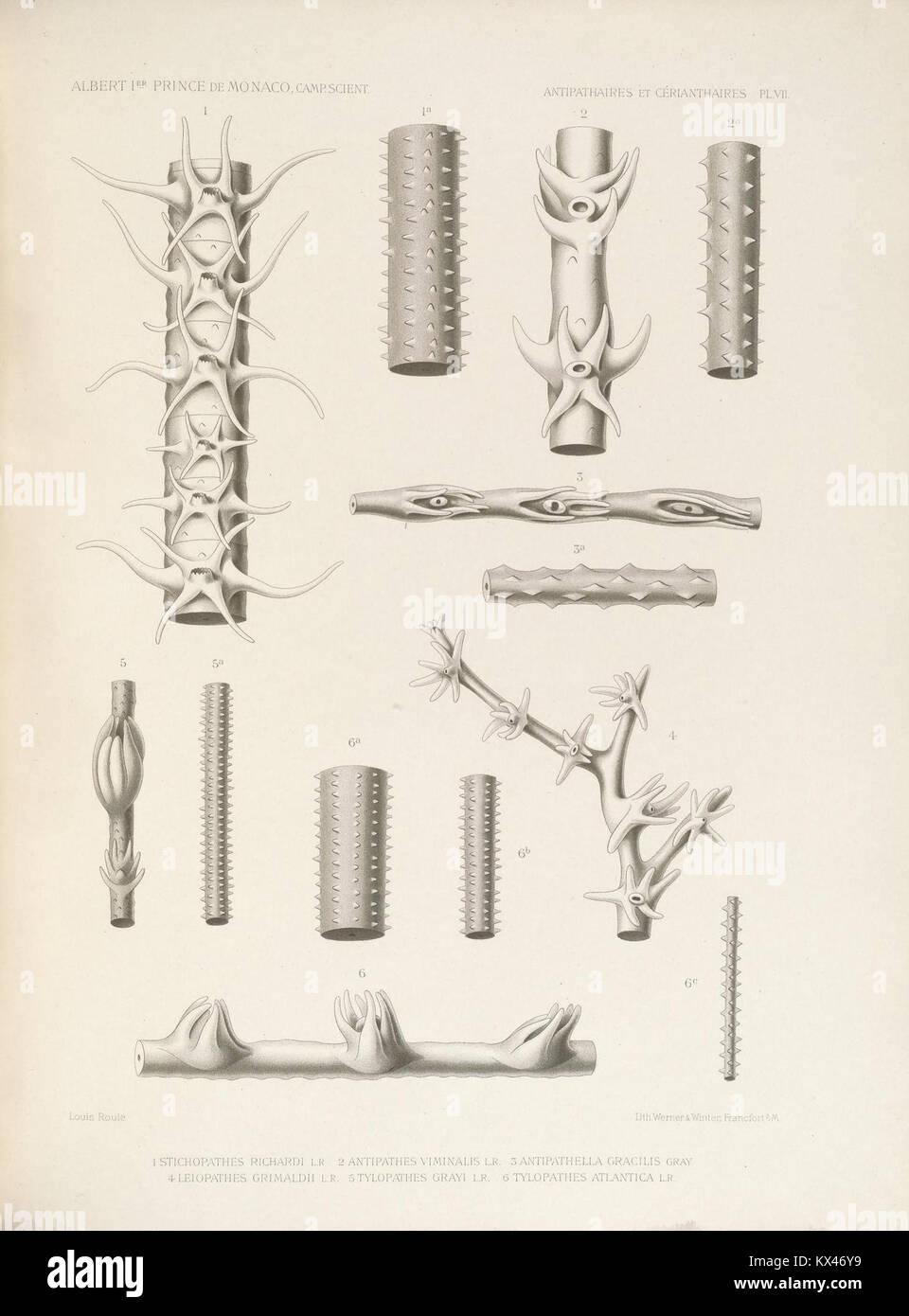 Documentedbiodiversity hi-res stock photography and images - Alamy