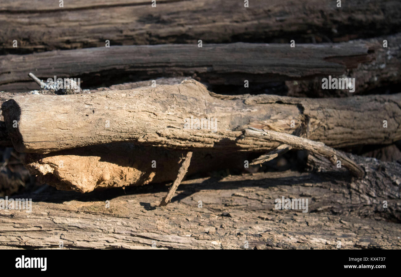 a stack of logs Stock Photo - Alamy