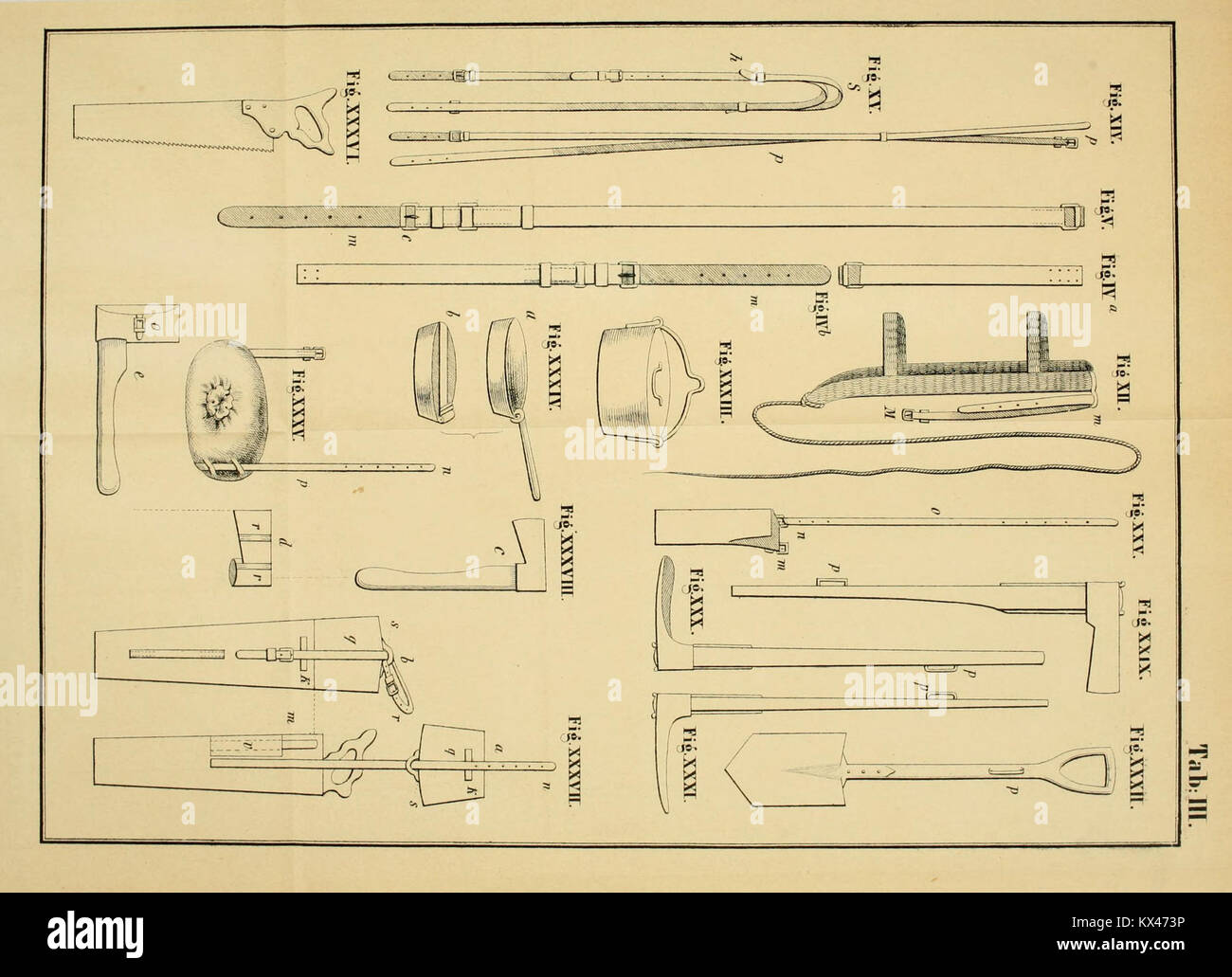 This illustration describes a new type of horse tack and saddle gear ...