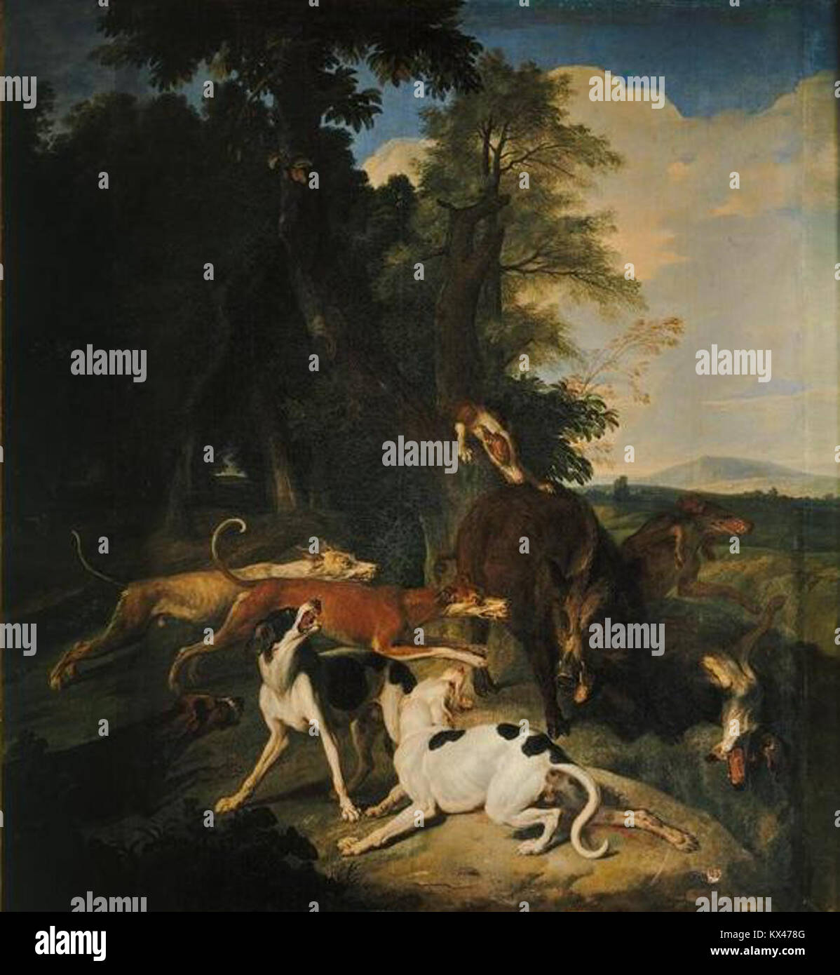 The image depicts a wild boar hunt, with eight dogs assisting in the ...