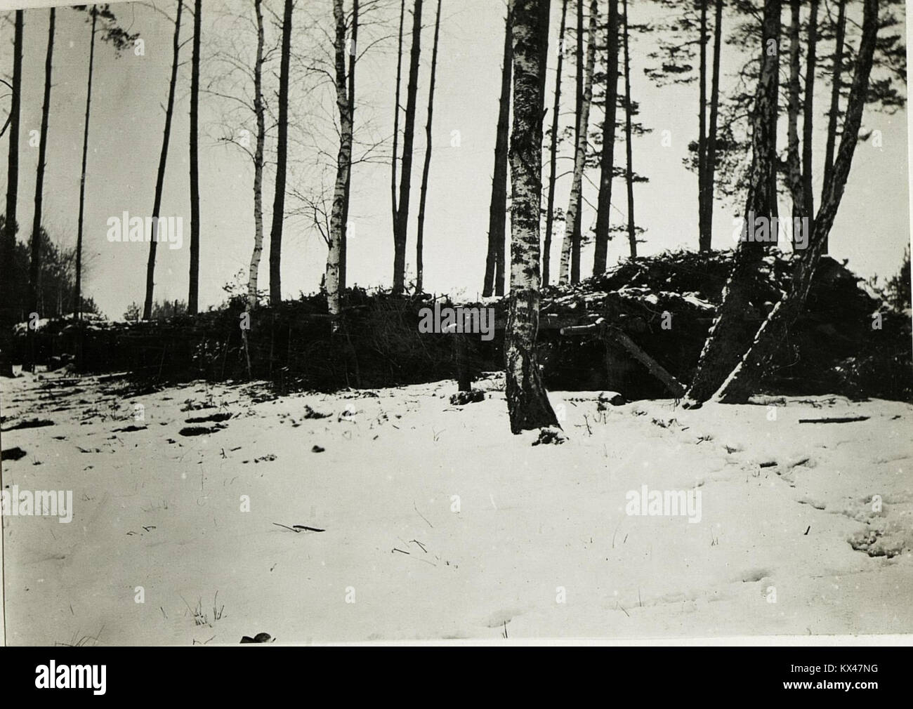 A German military photograph showing covered defensive positions at the ...