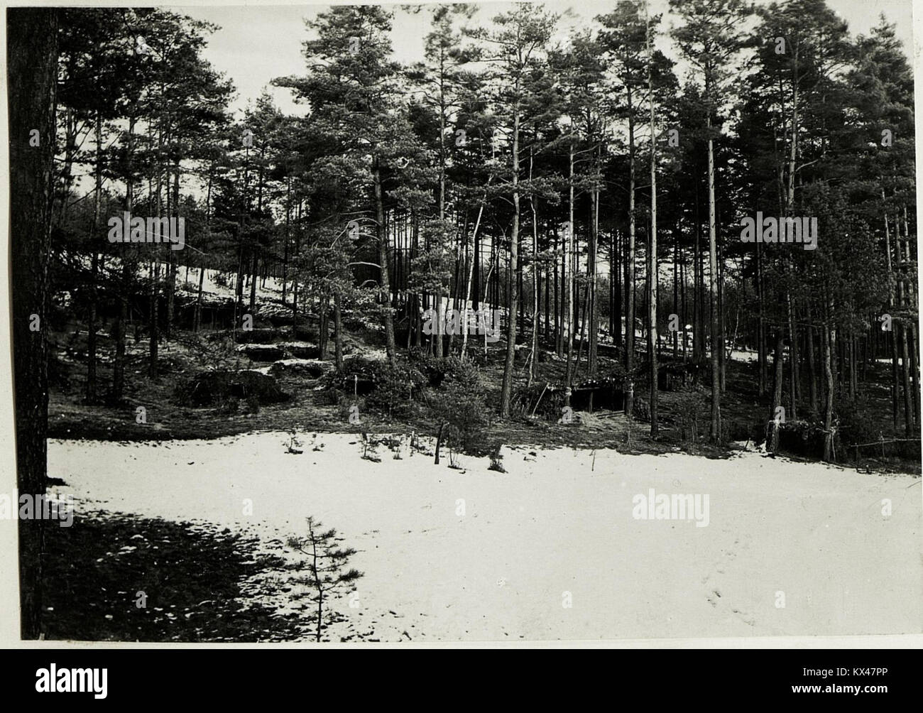 This photograph depicts German military support in the forest near ...