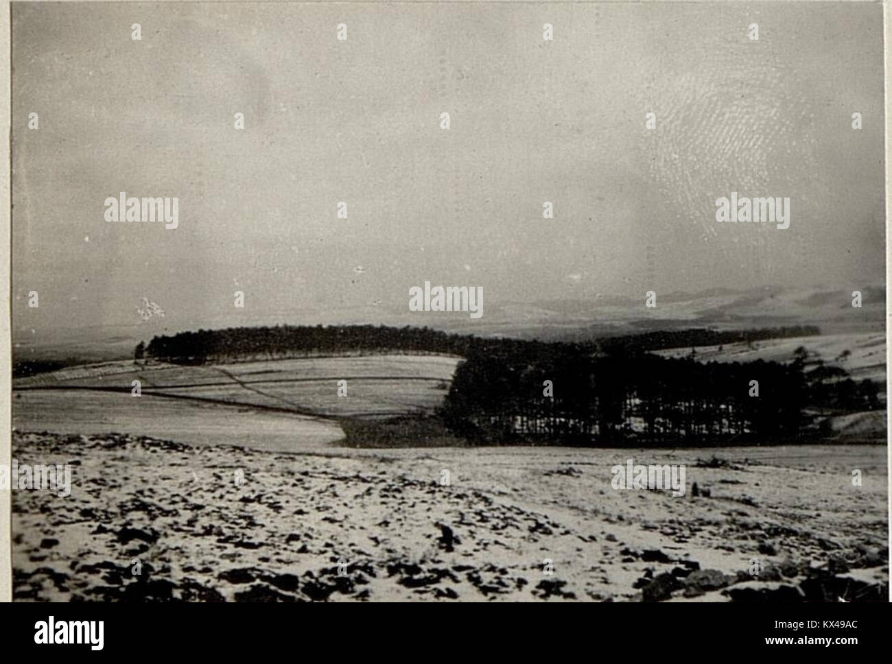 5th division infantry hi-res stock photography and images - Alamy