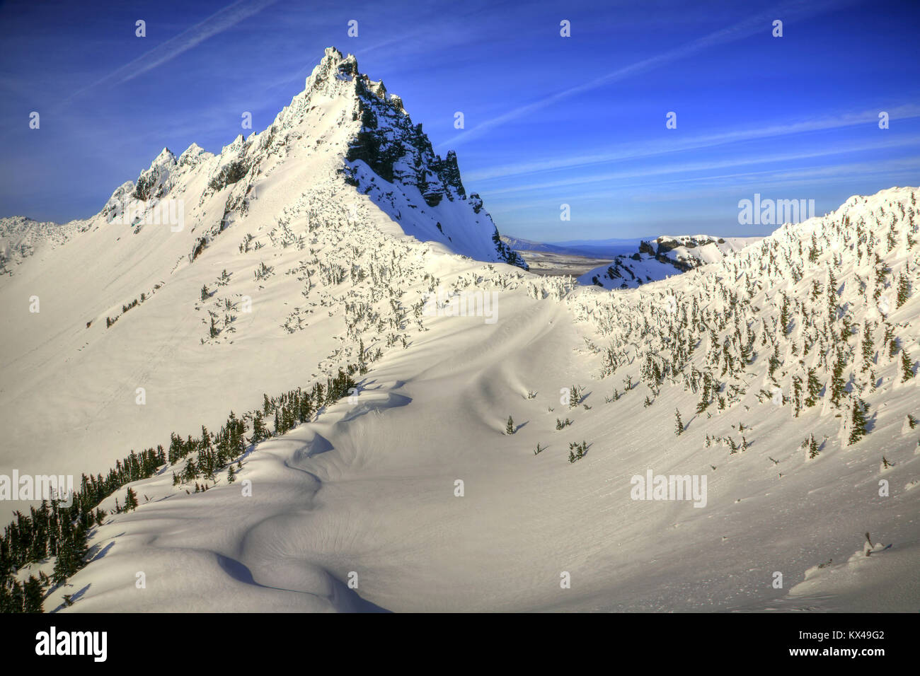 Three fingered jack winter hi-res stock photography and images - Alamy
