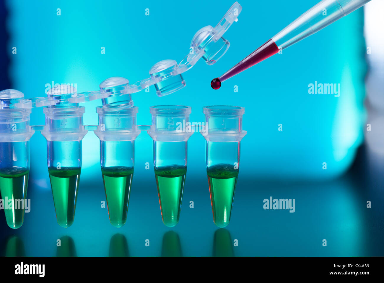 PCR micro tubes strips Stock Photo - Alamy