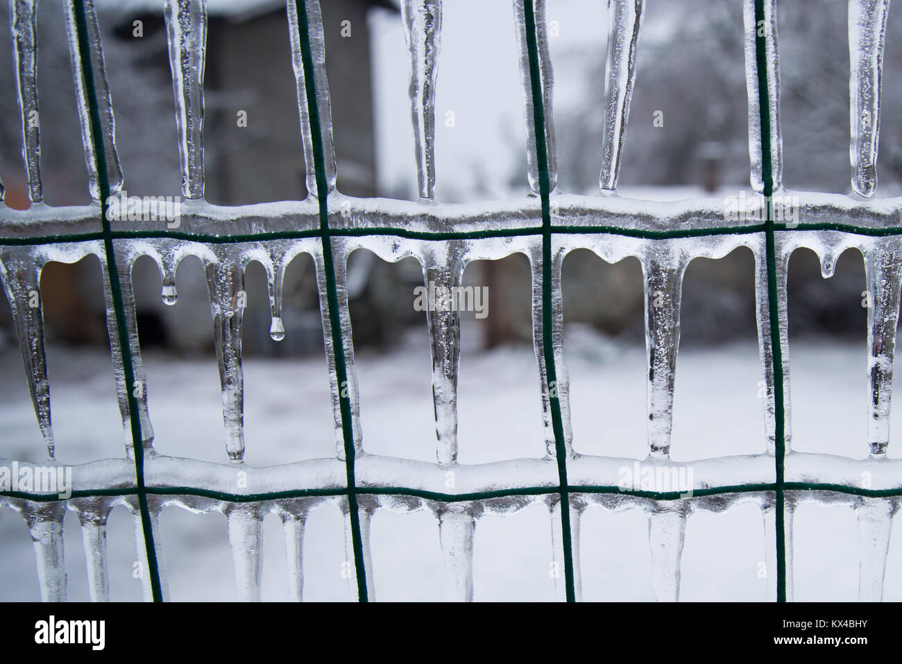 Glazed rain hi-res stock photography and images - Alamy