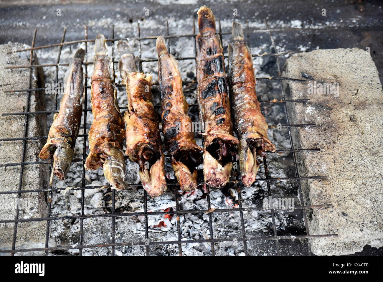 Filipino traditional cuisine cooking style in the garden Stock Photo ...