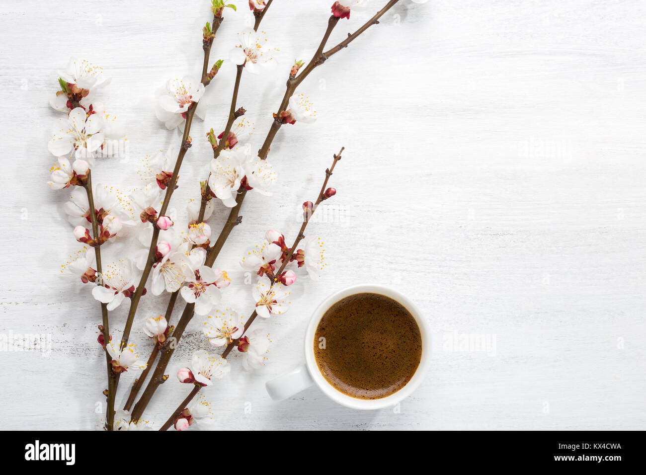 Cup of coffee and branches of blossoming apricot on old wooden shabby ...