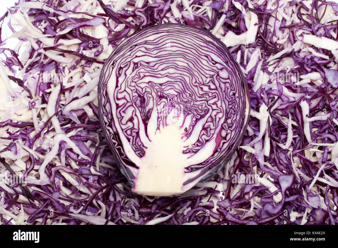 White and Red Cabbage Stock Photo - Alamy