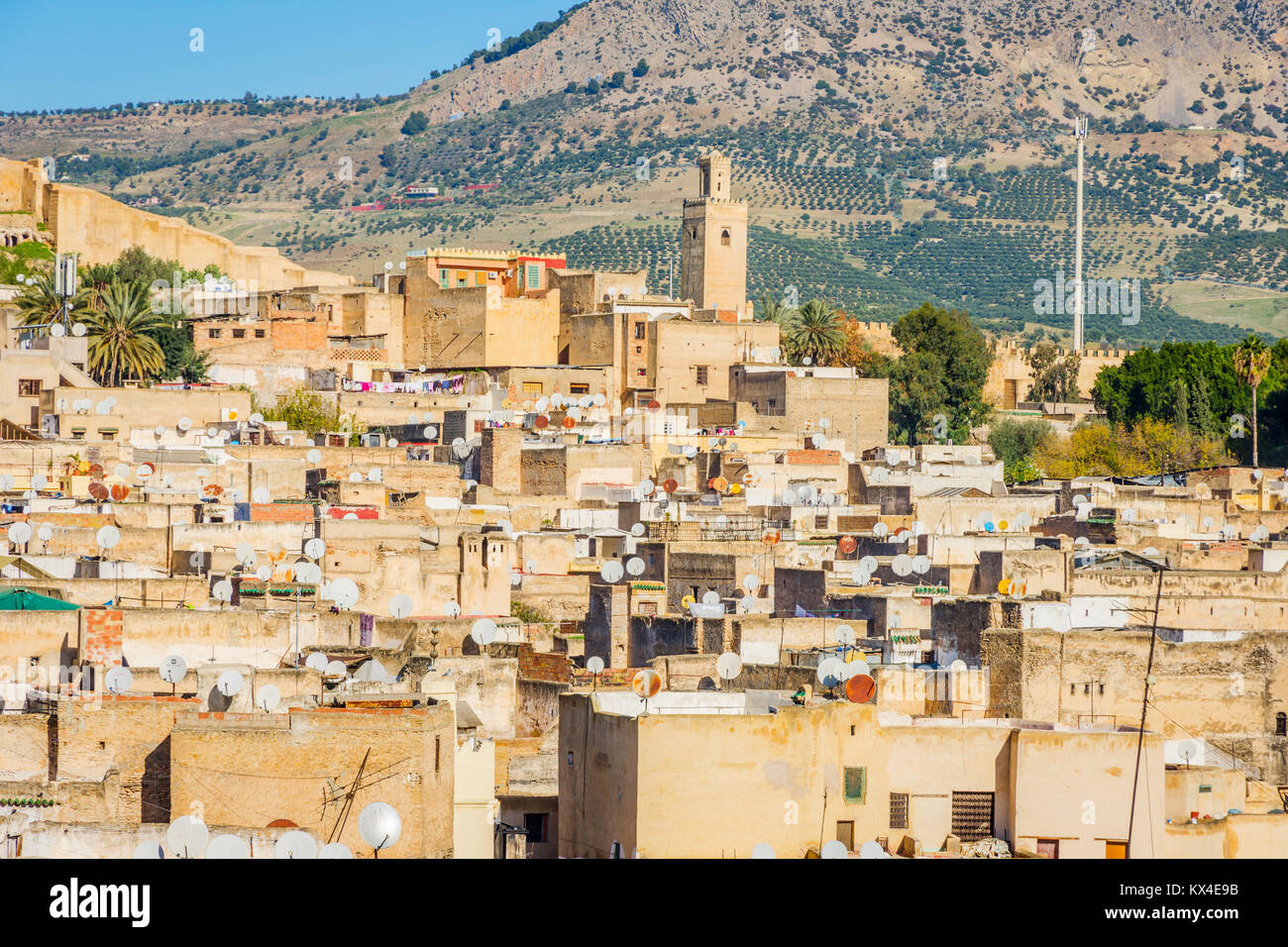 View over Fez skyline, yellow city, Morocco Stock Photo - Alamy