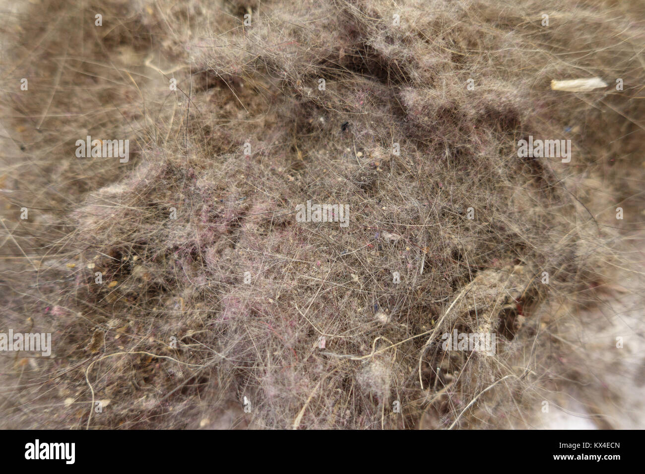 dust concept background closeup Stock Photo - Alamy