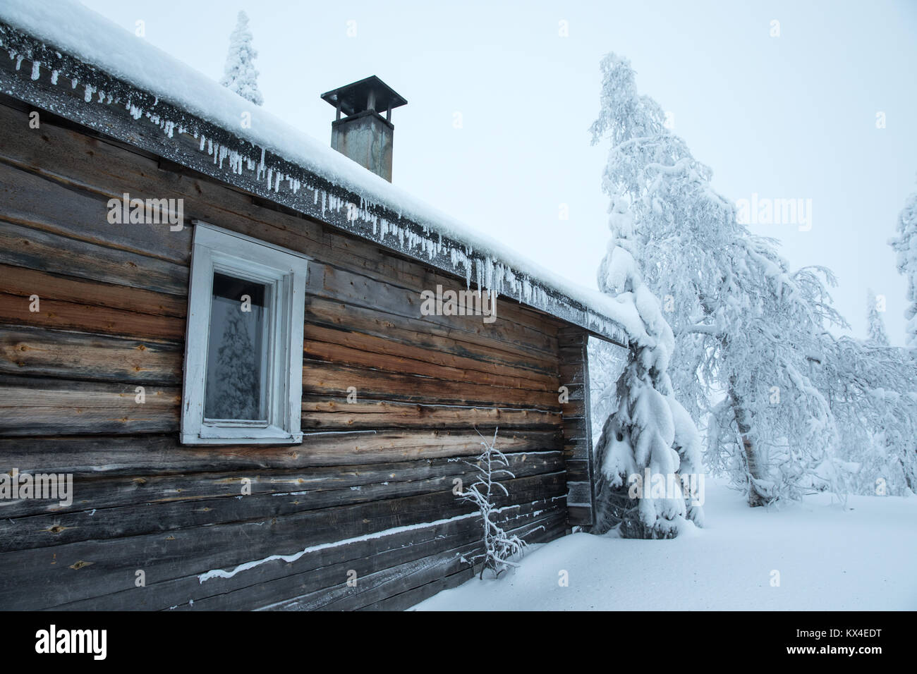 Little traditional wooden hut in the snowy arctic forest in Finnish ...