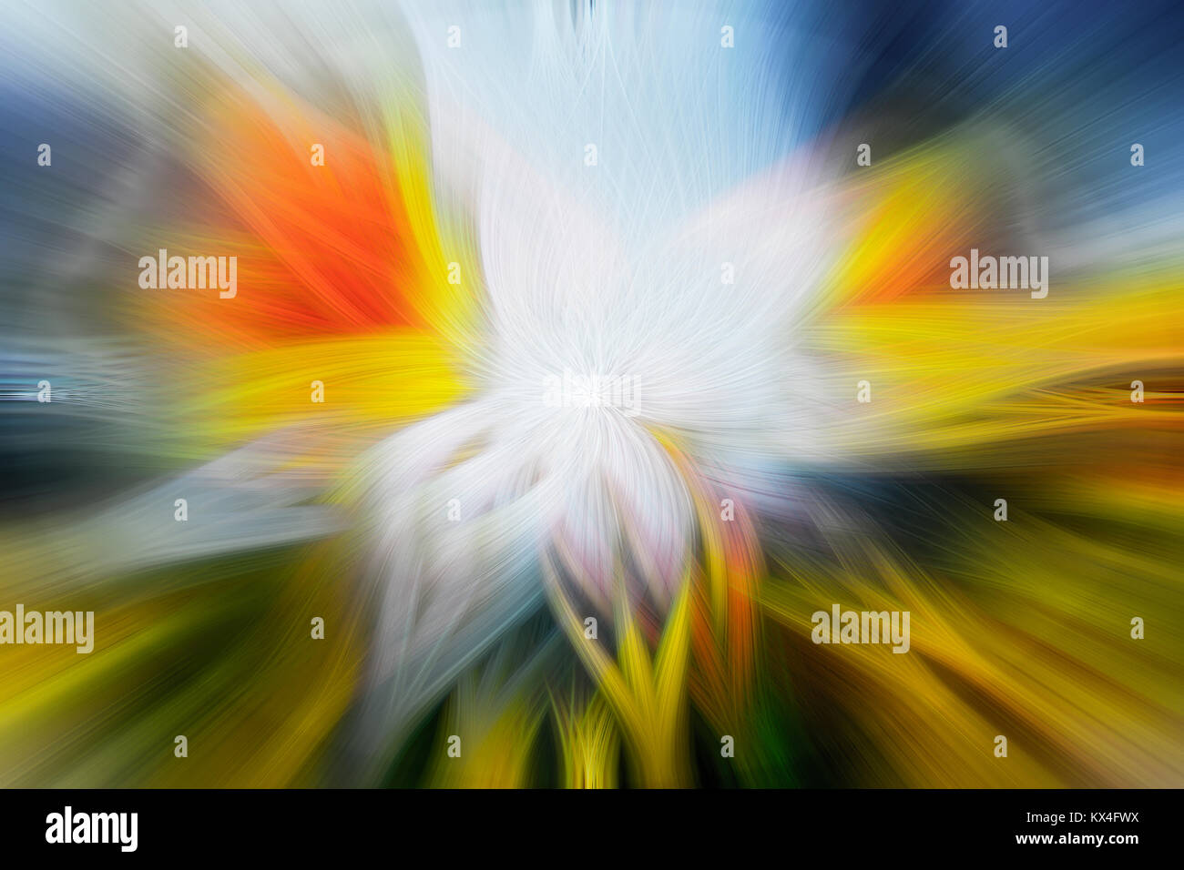 abstract color background from waving and twisted light fibers Stock ...