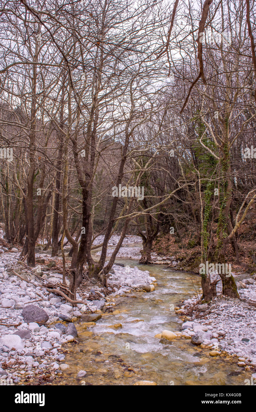 Beautiful crystal clear stream in Aridaia Greece Stock Photo - Alamy