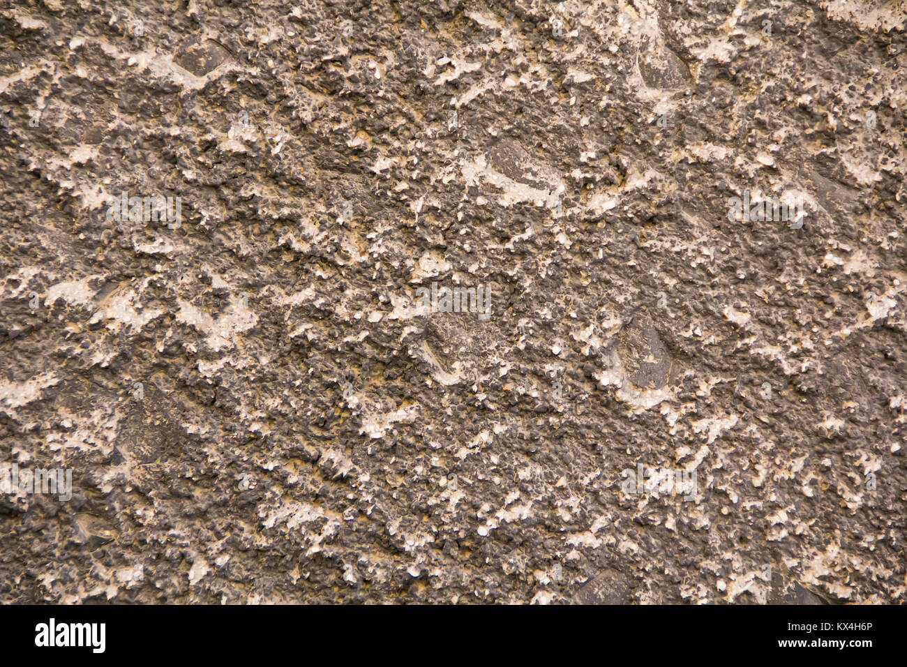 Photo of background colorful roughness gritty texture Stock Photo - Alamy