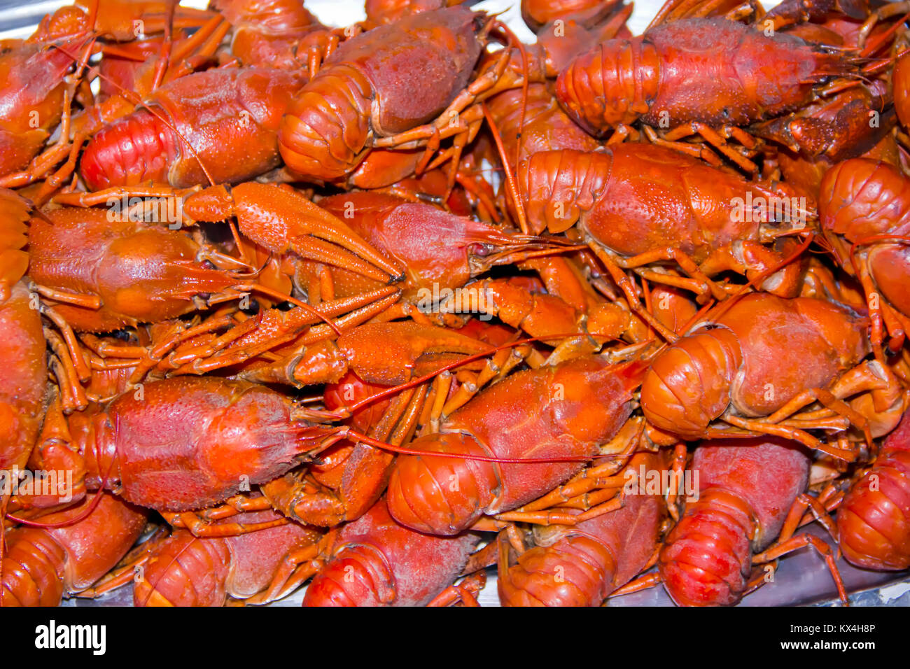 Photo of the lot red boiled crawfishes Stock Photo - Alamy