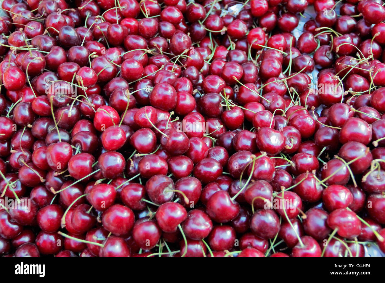 Image of background fresh dark red cherry Stock Photo - Alamy