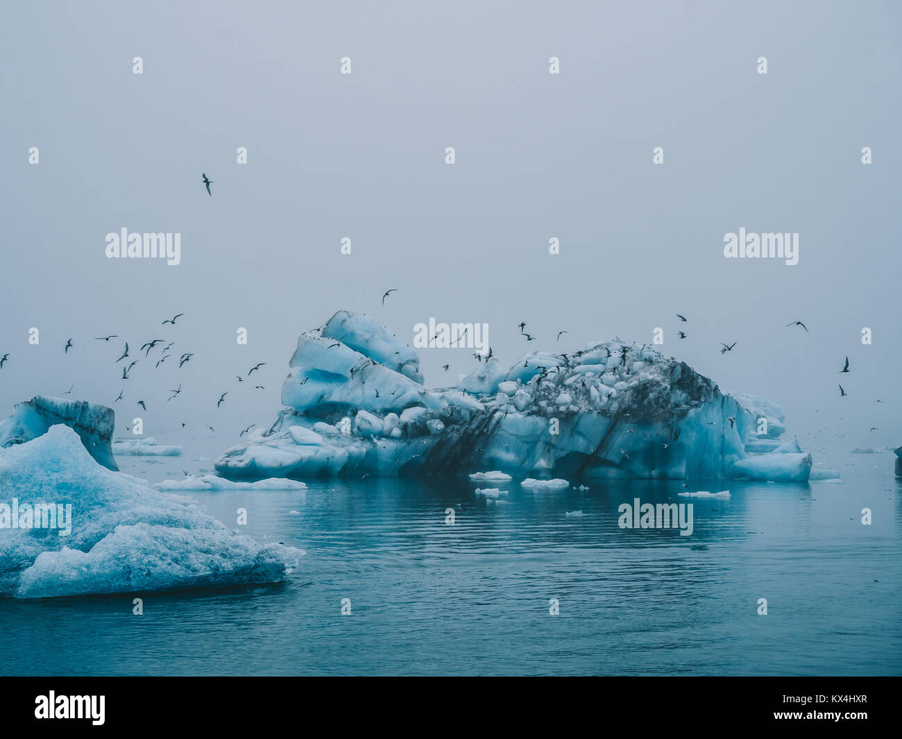birds flying over melting glacier ice, Jokulsarlon in Iceland Stock ...