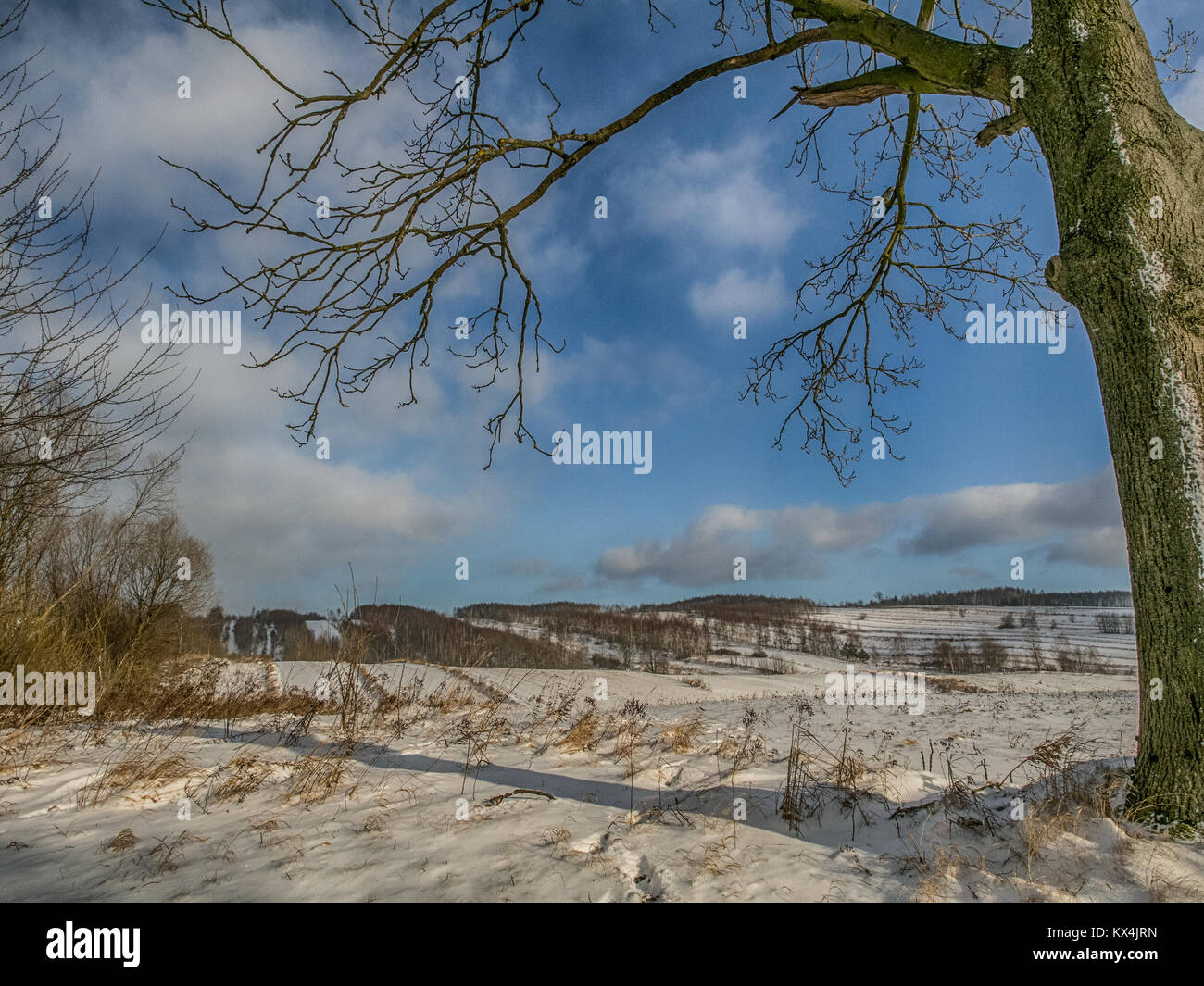 Hills covered with the white snow. Snowy winter in Poland Stock Photo ...