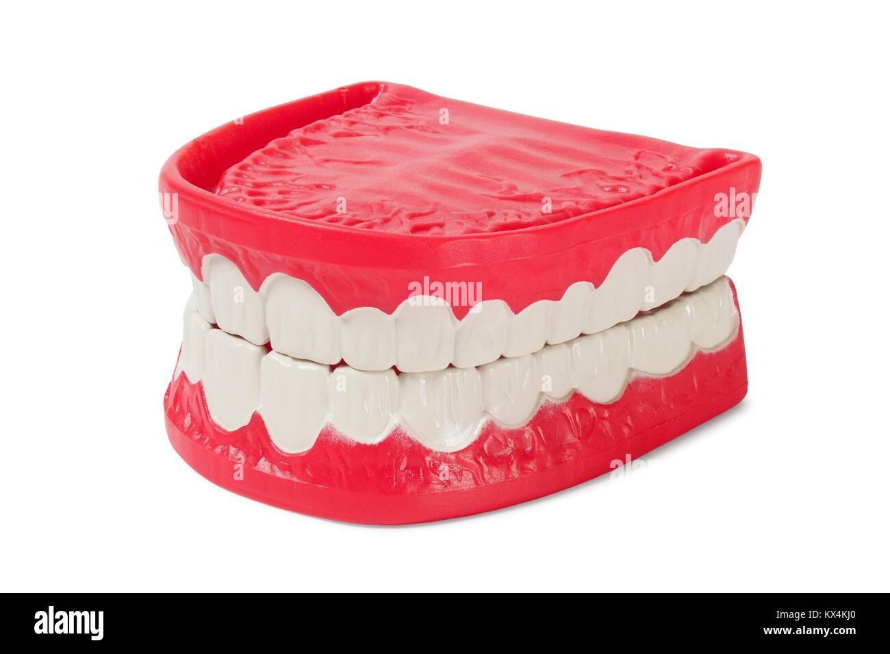 Toy Dentures