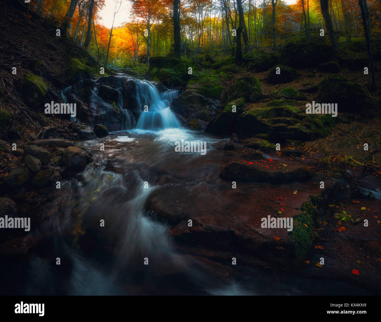 Waterfall in autumn forest Stock Photo - Alamy