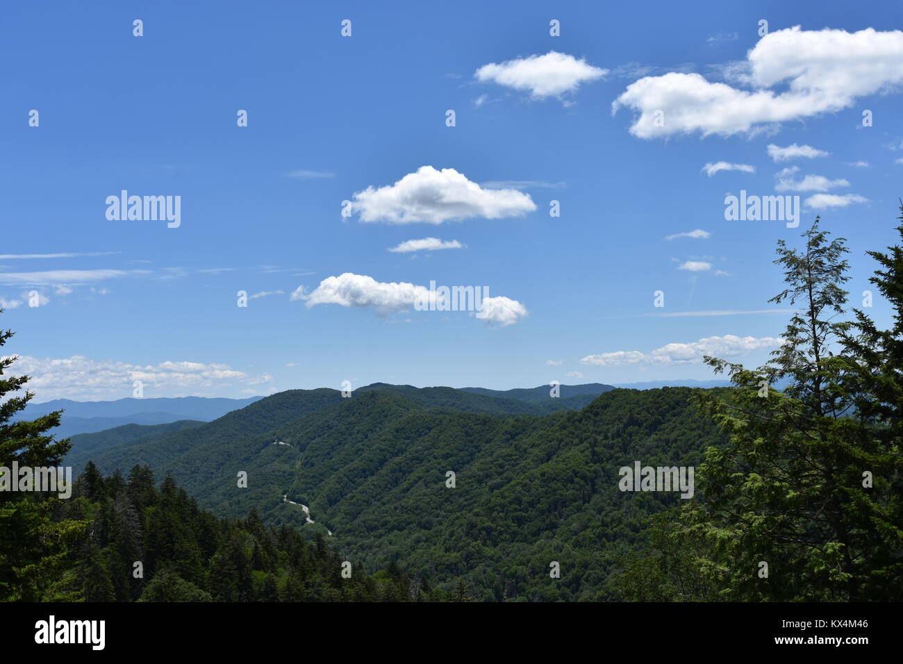Blue ridge mountains north carolina fog hi-res stock photography and ...