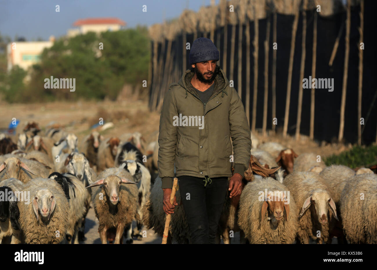 Gaza, Palestine. 07th Jan, 2018. January 7, 2018 - Gaza City, The Gaza ...