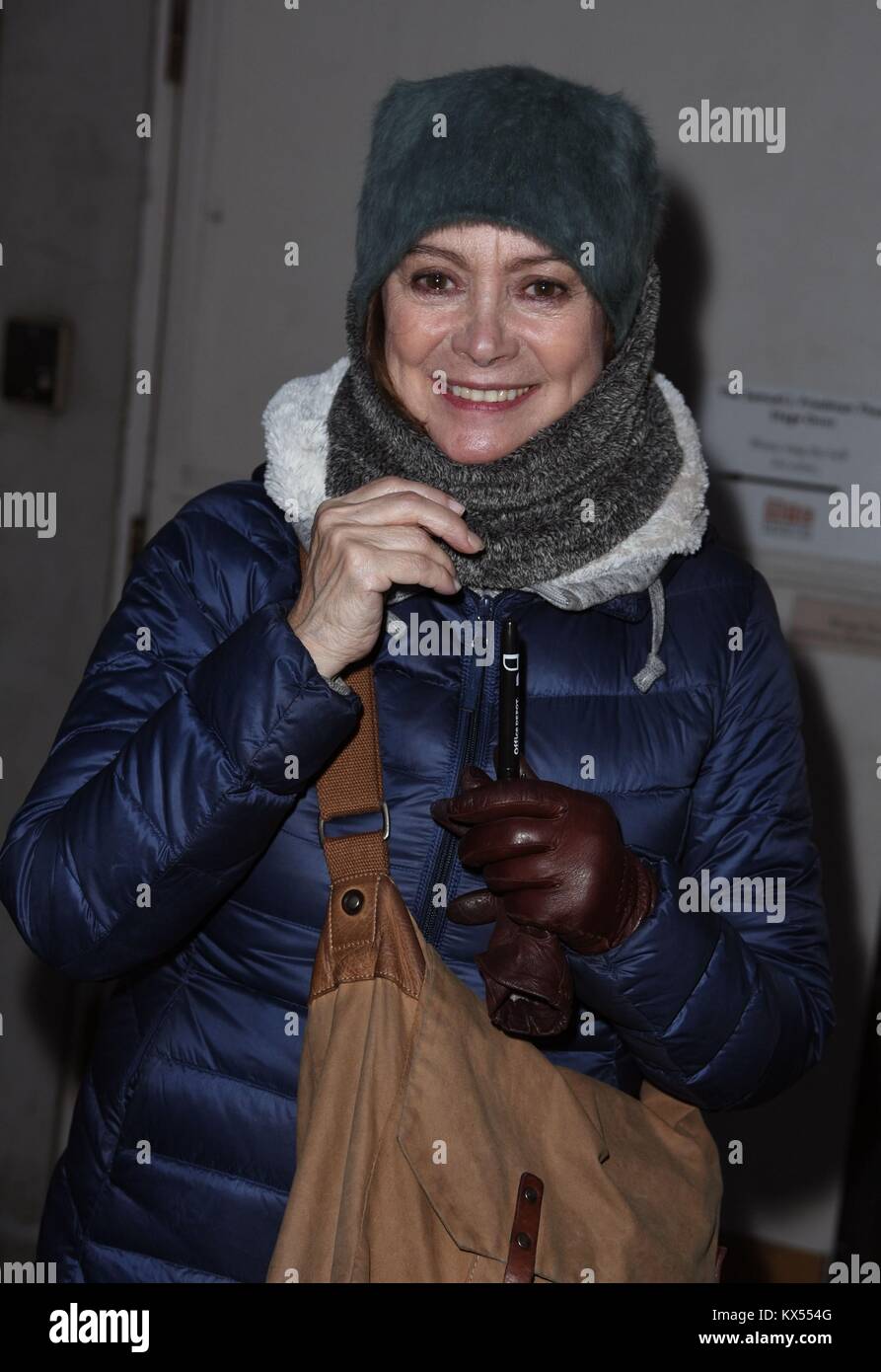 Francesca Annis High Resolution Stock Photography and Images - Alamy