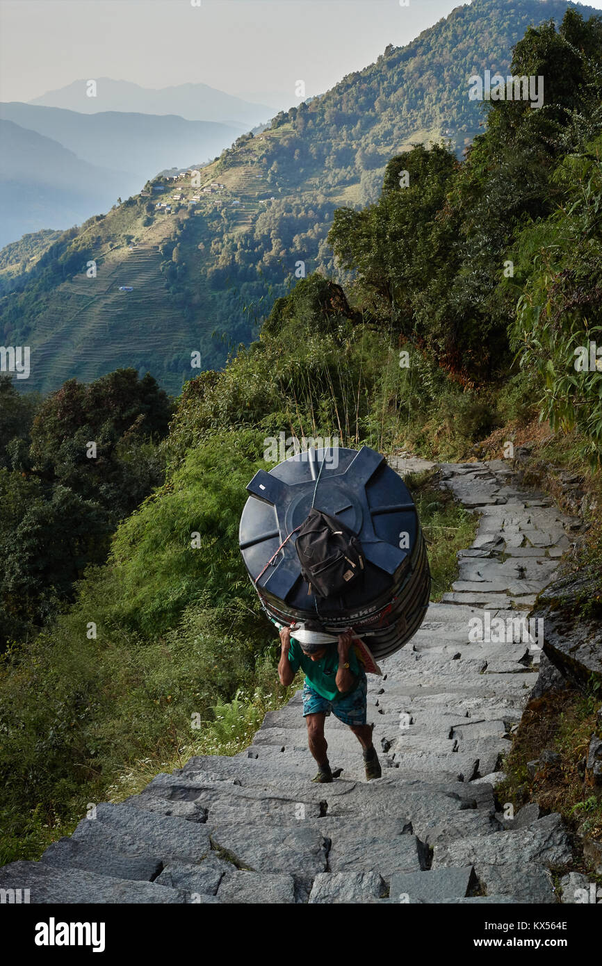 Nepali porter carrying container, Annapurna massif, Nepal Stock Photo ...
