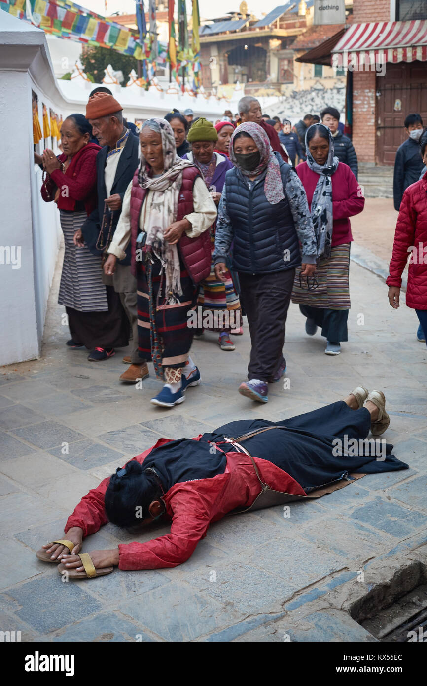 Tibetan pilgrim making full body prosternation while makin the Kora ...
