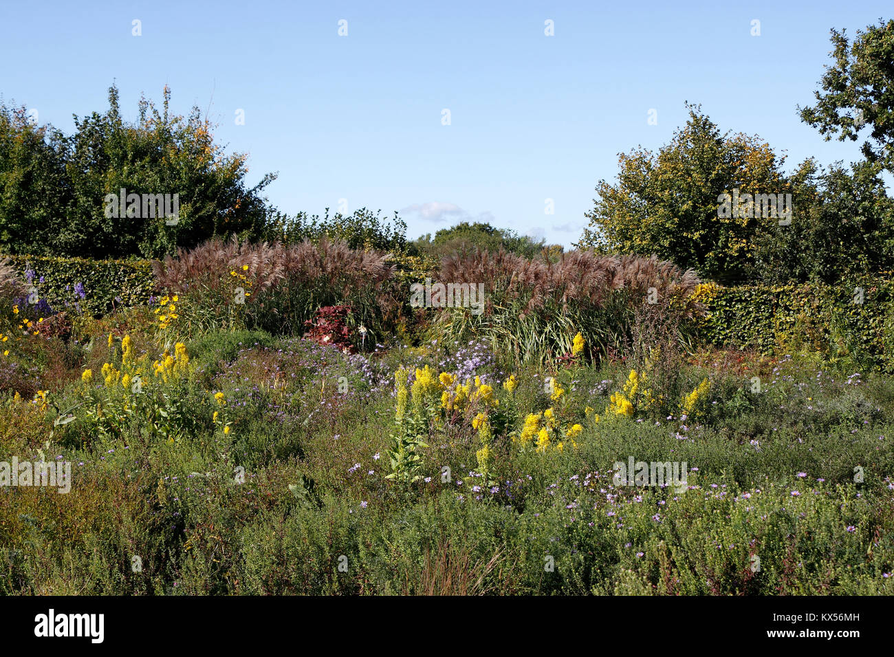 AUTUMN BORDERS AT RHS WISLEY Stock Photo - Alamy