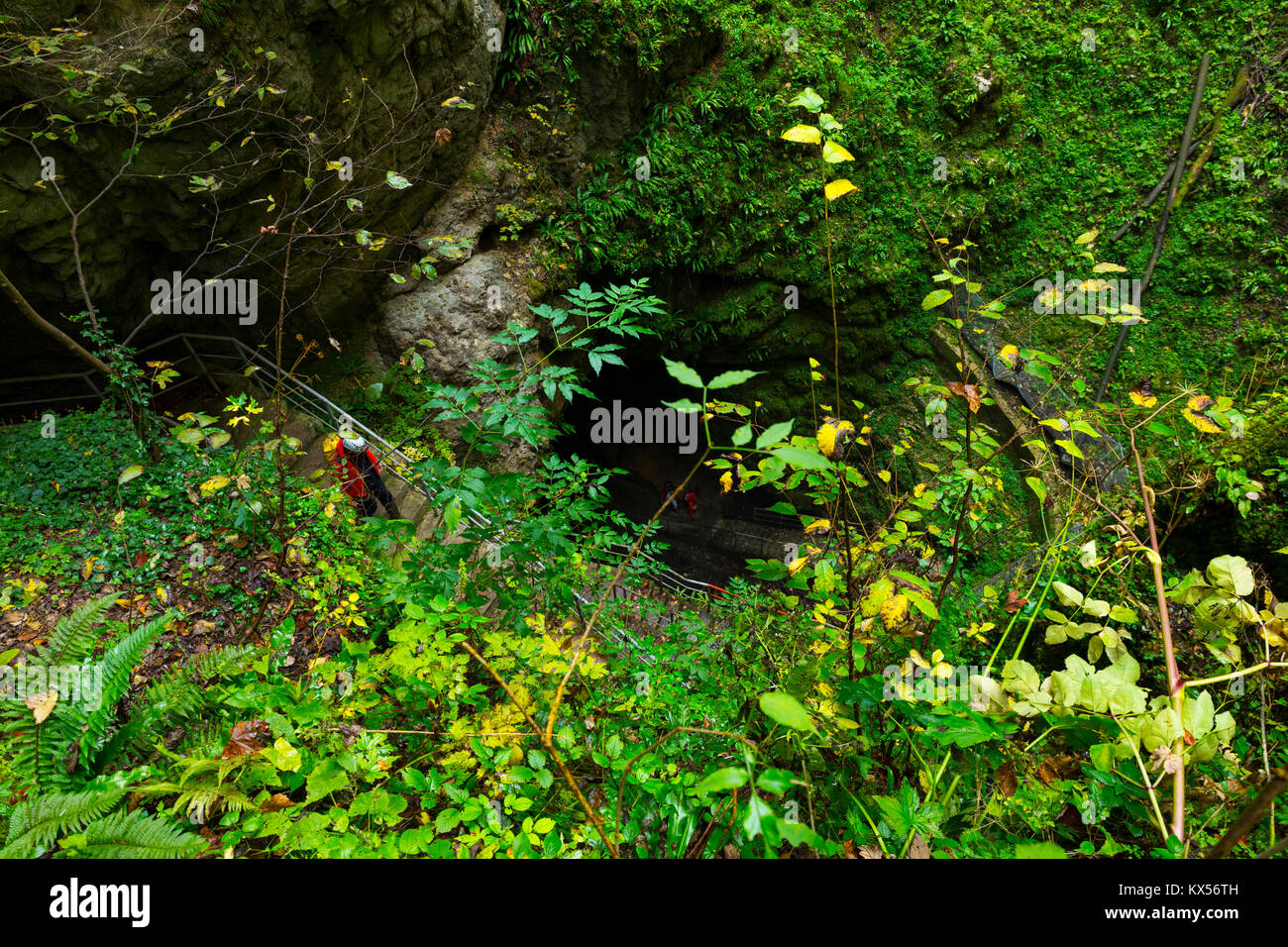 Pivka green cave hi-res stock photography and images - Alamy