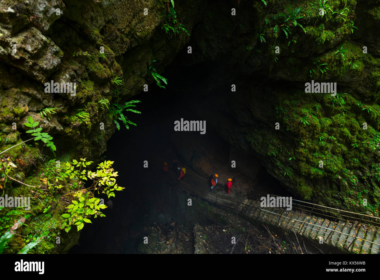 Pivka green cave hi-res stock photography and images - Alamy