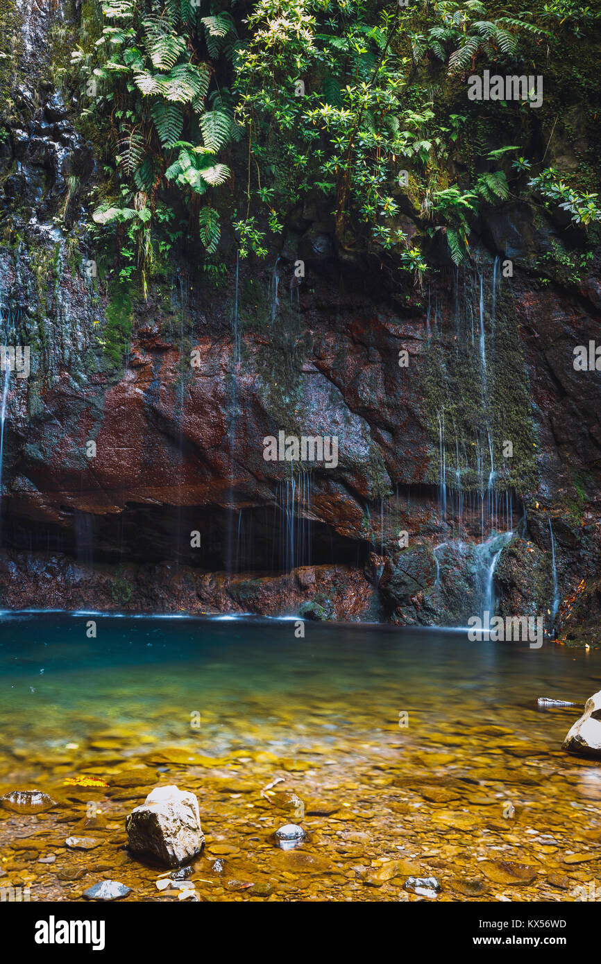 mountain path to Levada das 25 fontes and Levada do Risco , Madeira ...