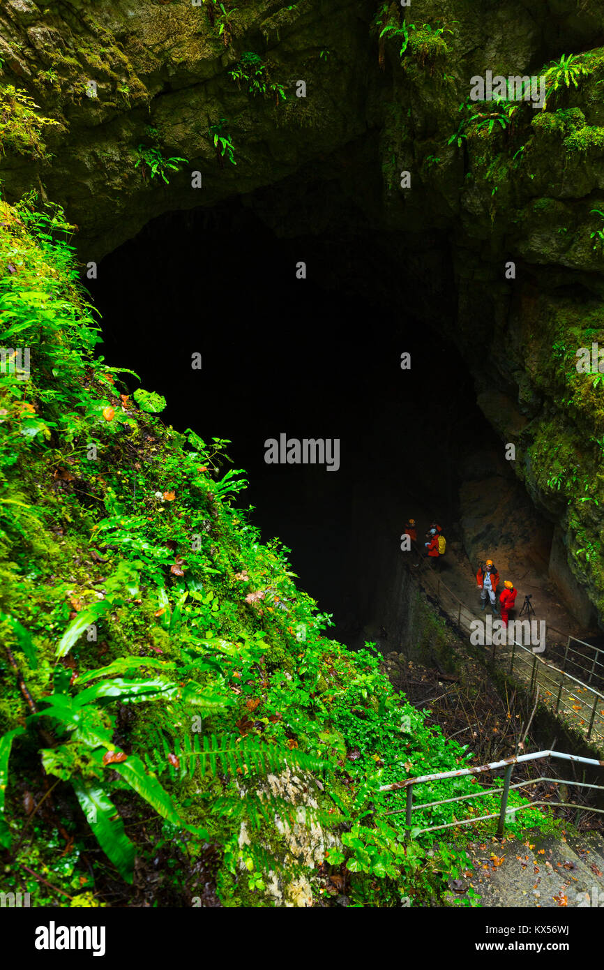 Pivka green cave hi-res stock photography and images - Alamy