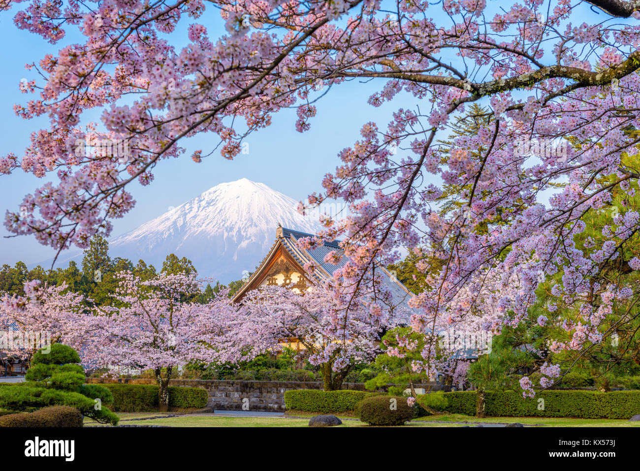 Shizuoka, Japan during spring Stock Photo - Alamy
