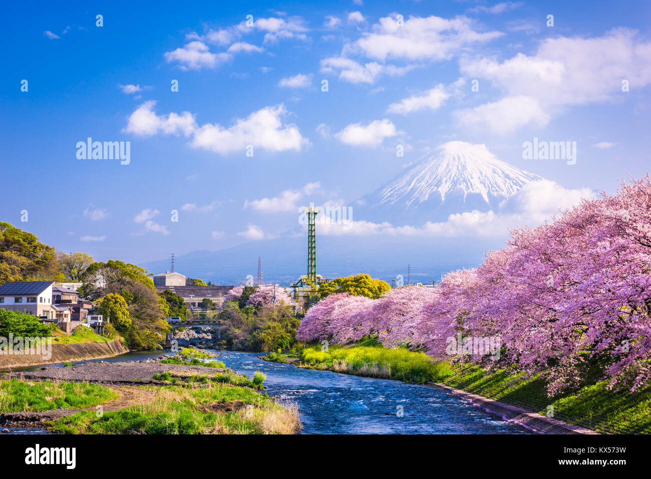 Mt fuji town cherry hi-res stock photography and images - Alamy