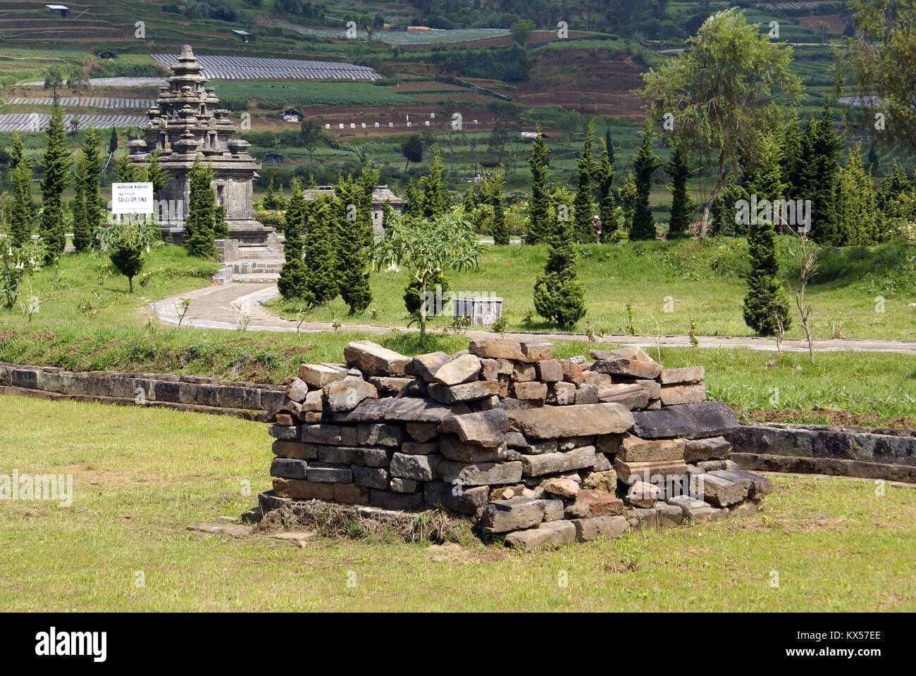 Ruins and Arjuna complex on plateau Dieng, Java Stock Photo - Alamy