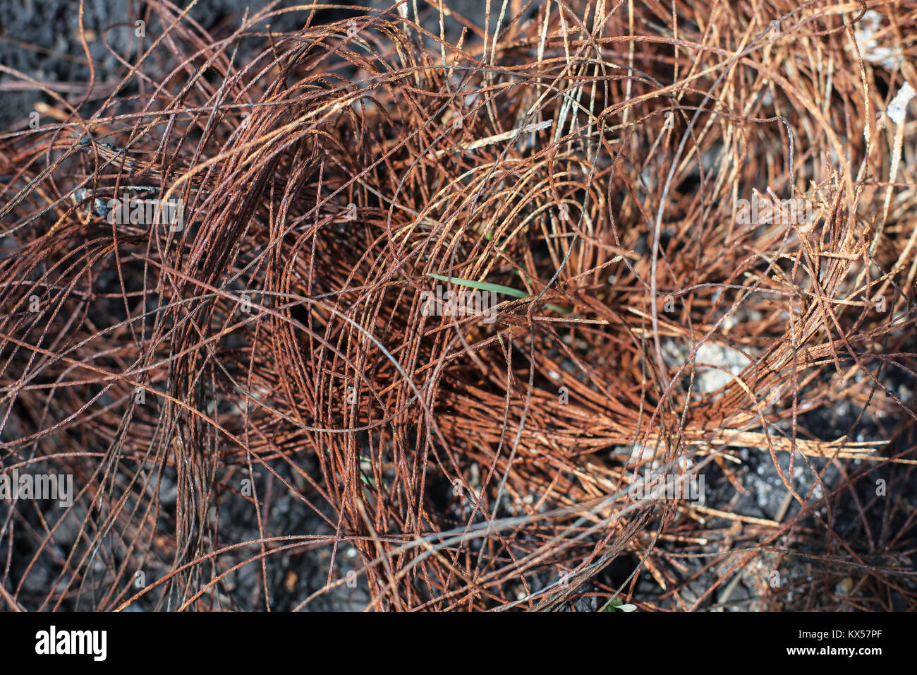 Metal carcass of the burnt automobile rubber tire. Close up texture of ...