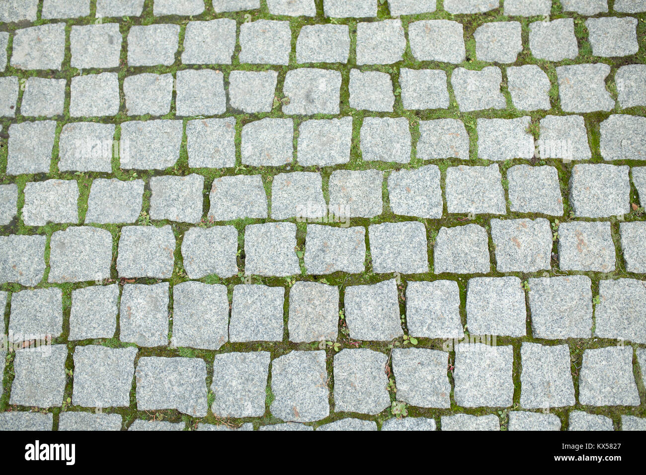 Granite gray cobblestone pavement abstract background horizintal image ...