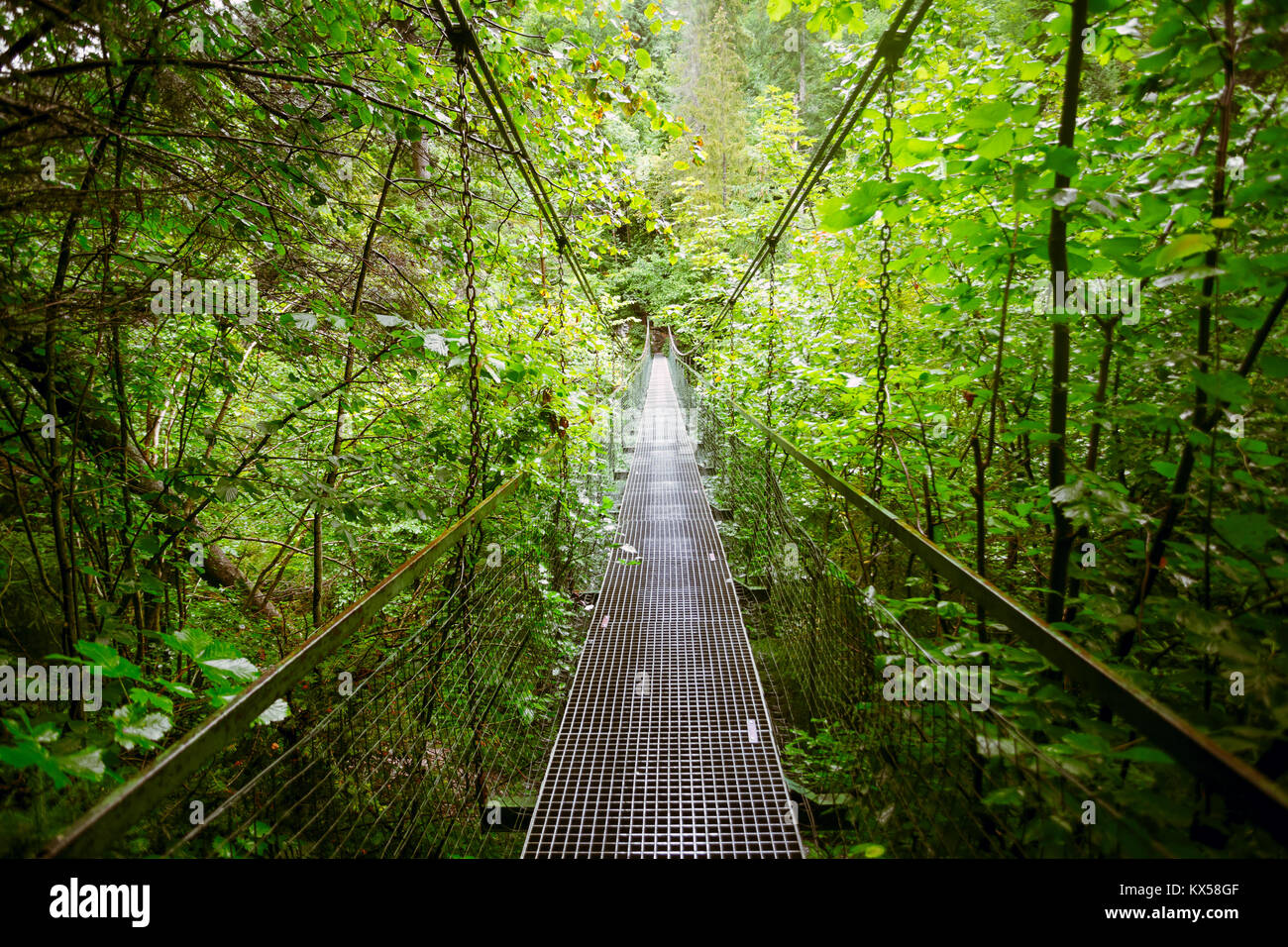 Suspension metal bridge with the chains through the canyon in the Tatra ...