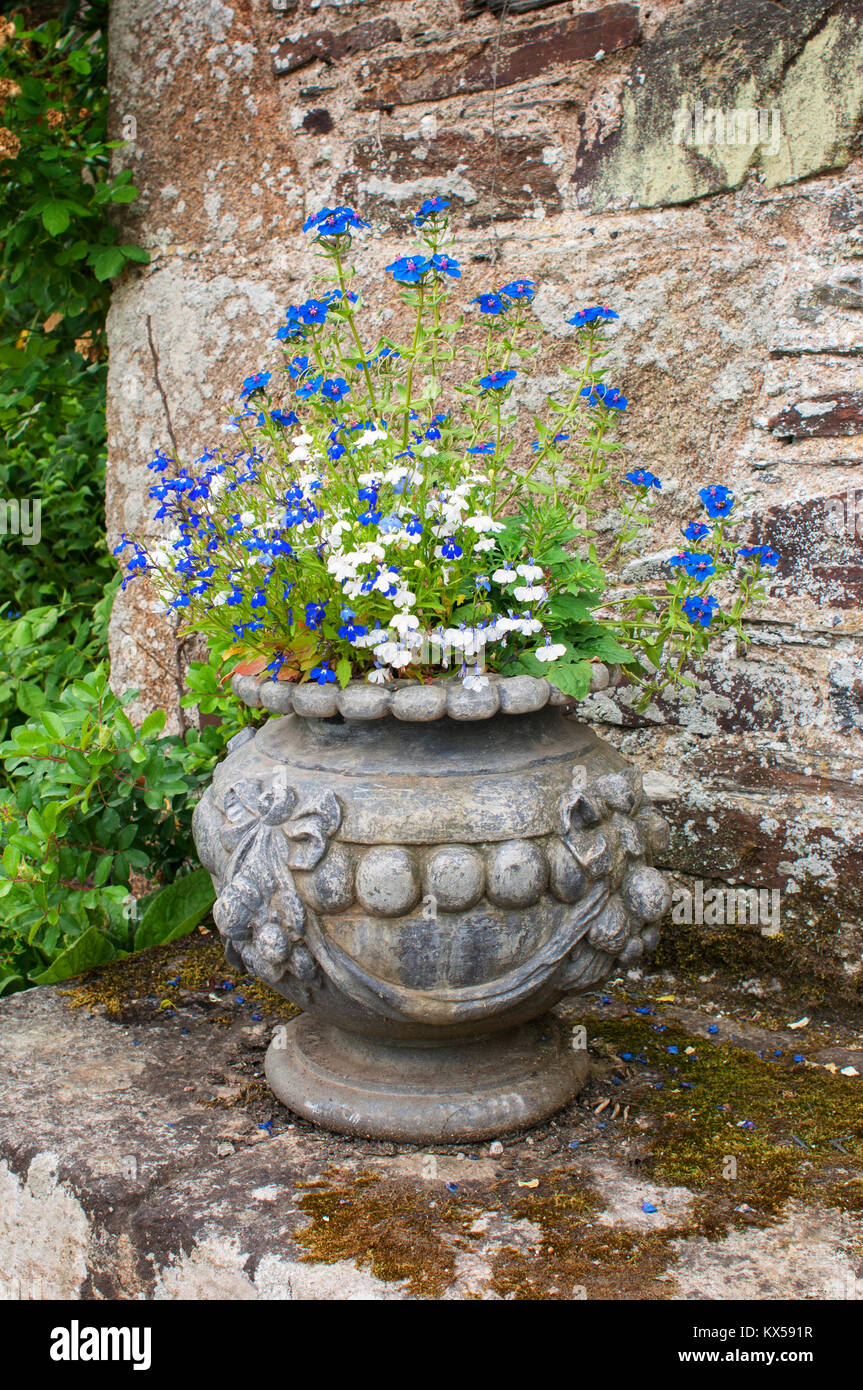Greek pot plant hi-res stock photography and images - Alamy