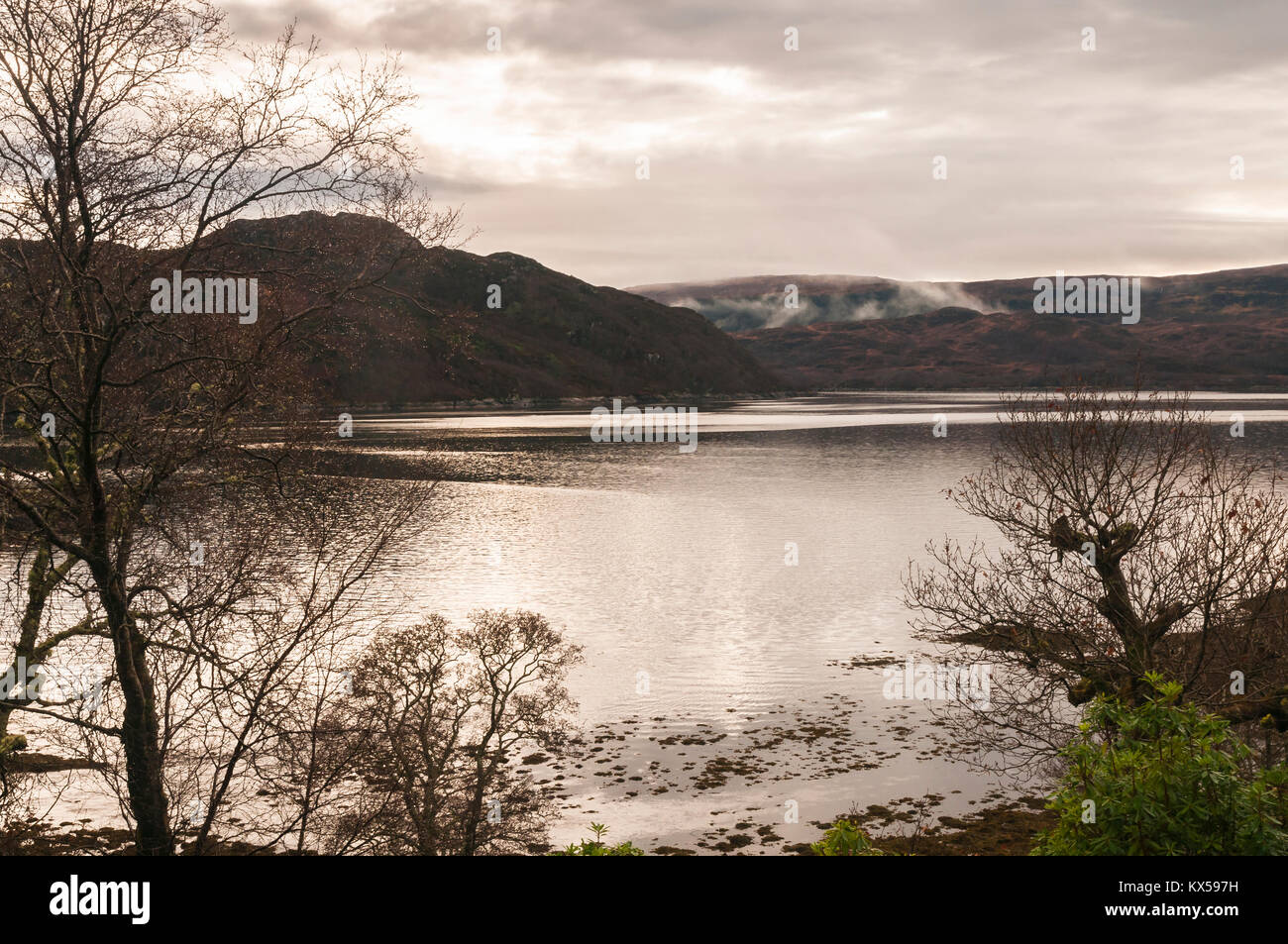Looking out over Loch Sunart from Glennborrodale on Ardnamurchan in ...