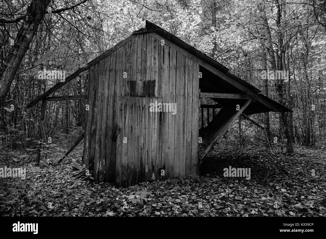 Old building in the forest Stock Photo - Alamy
