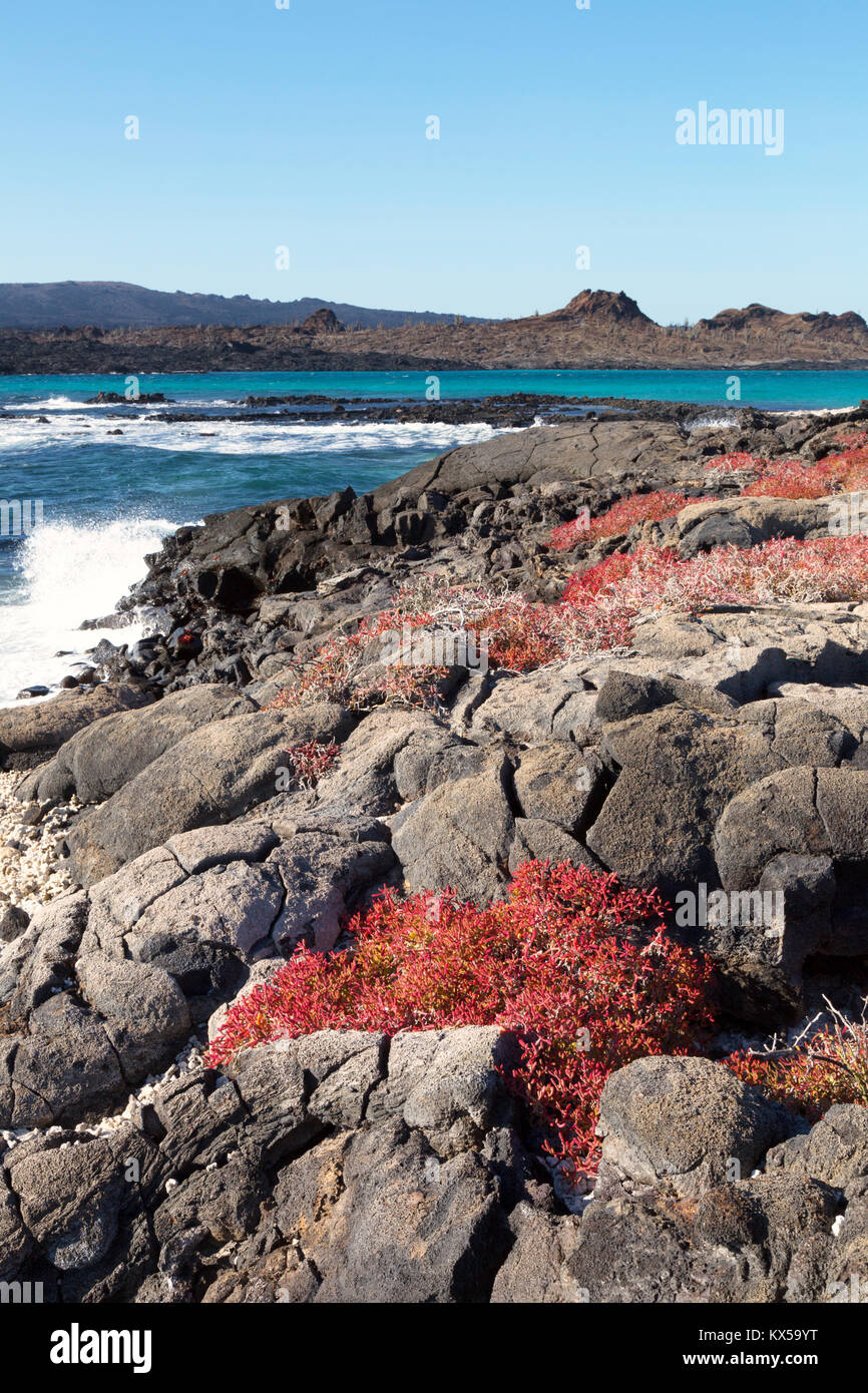 Galapagos landscape hi-res stock photography and images - Alamy