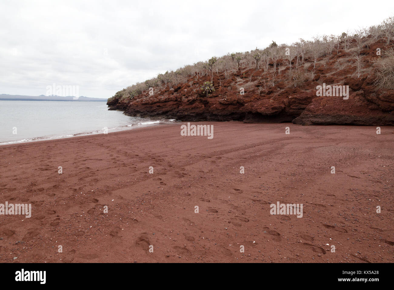 Red volcanic sand beach on Rabida Island, Galapagos Islands Ecuador ...