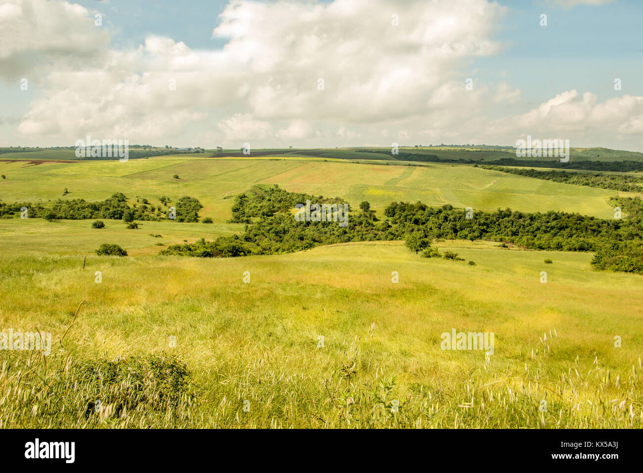 Green field horizon and cloudy sky for your background. Landscape ...